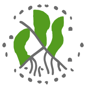 What is the Product Carbon Footprint (PCF)?